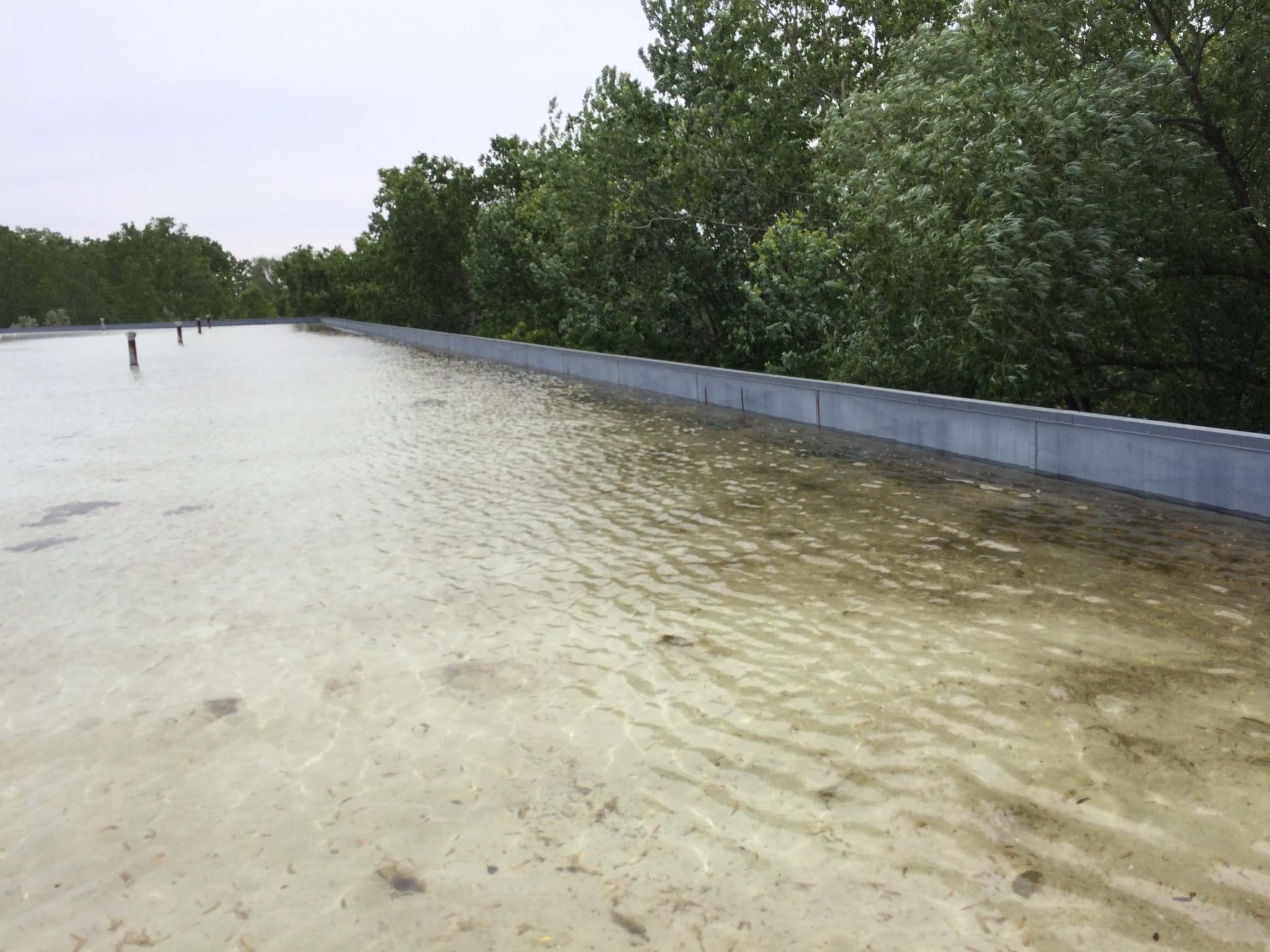 Why Preventative Maintenance Is So Important For Your Commercial Roof System – ROOF Management ...